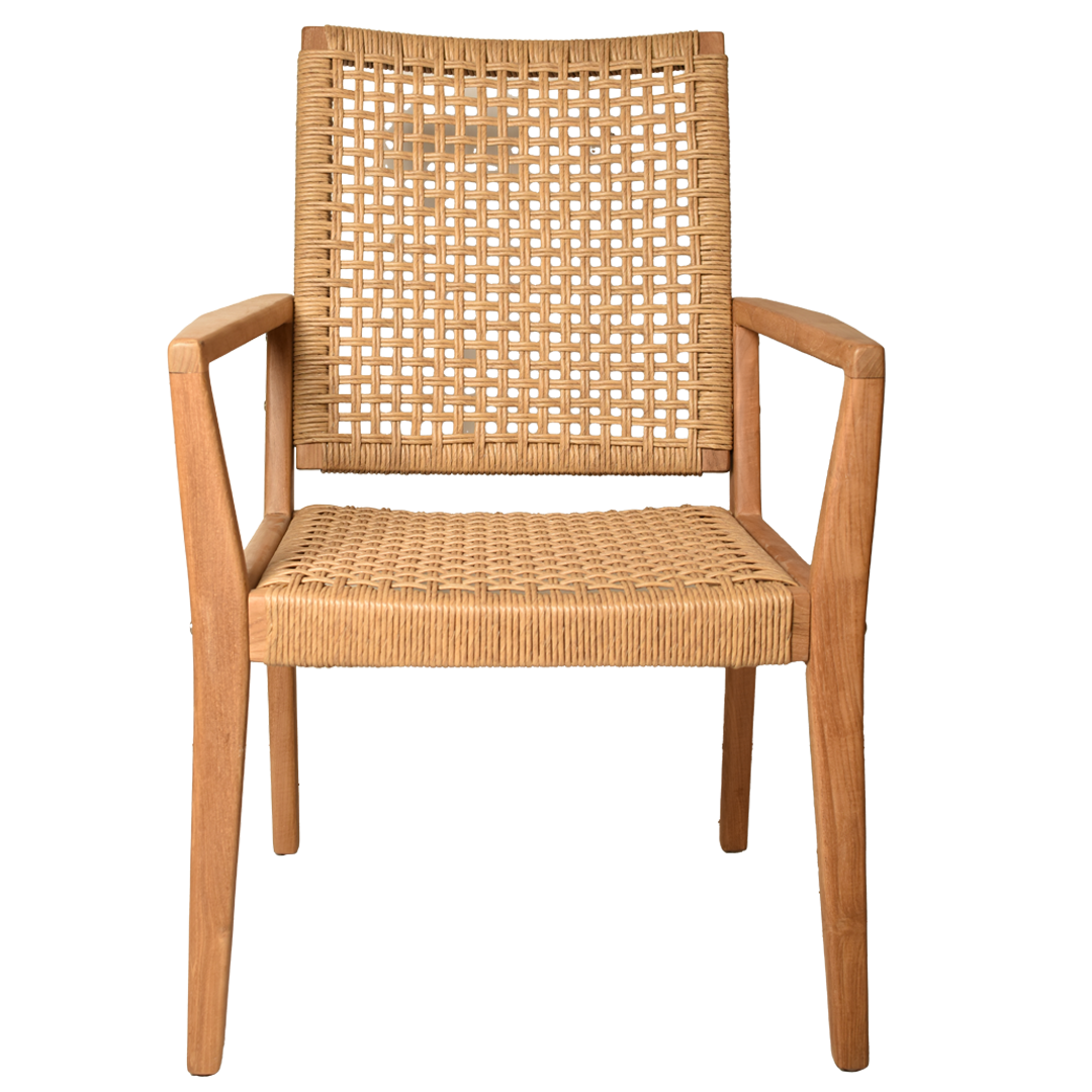 Colibri Dining Armchair - Rivalve Furniture