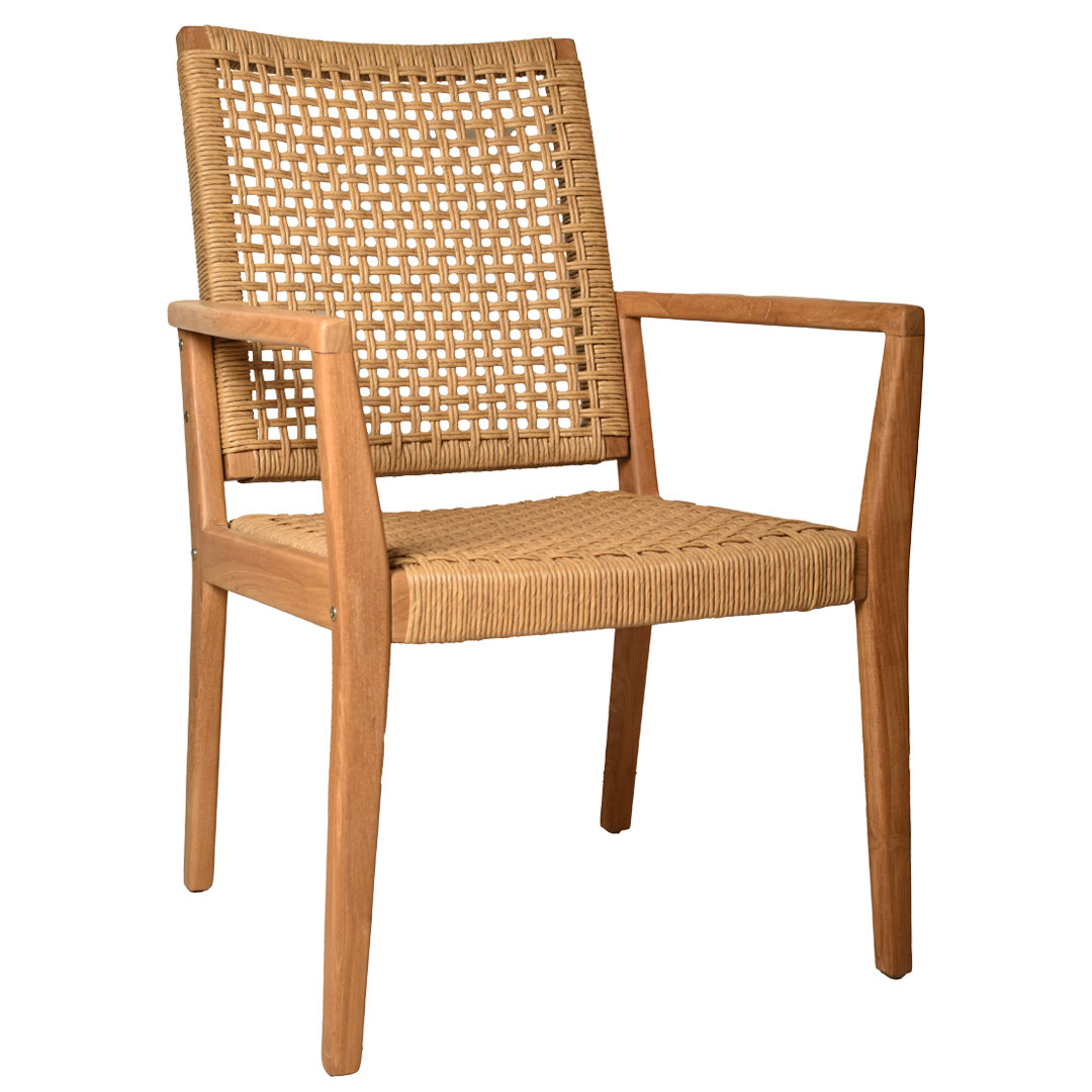 Colibri Dining Armchair - Rivalve Furniture